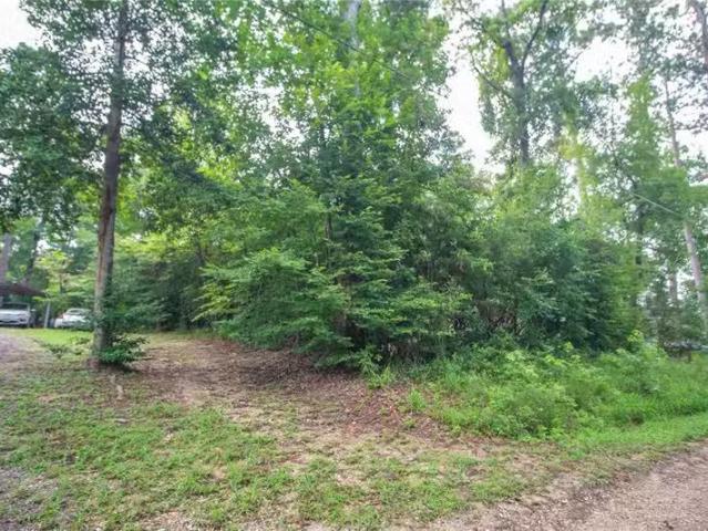TBD Magnolia Rd, Goodrich, TX 77335