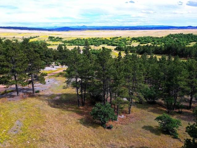 Tbd Majestic Vi View Rd Lot Majestic, Aladdin, SD 82710