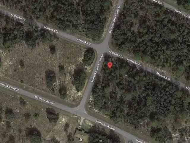 Tbd Malauka Dr, Ocklawaha, FL 32179 MLS RX 11006865