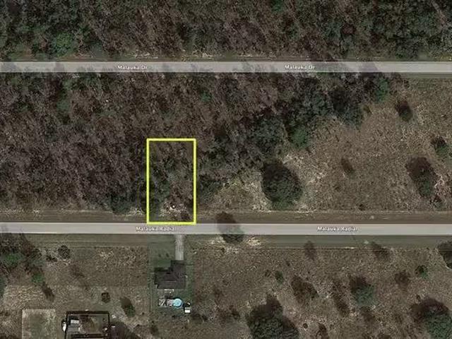 Tbd Malauka Radial, Ocklawaha, FL 32179 MLS V4936772
