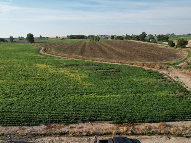 TBD Malt Road