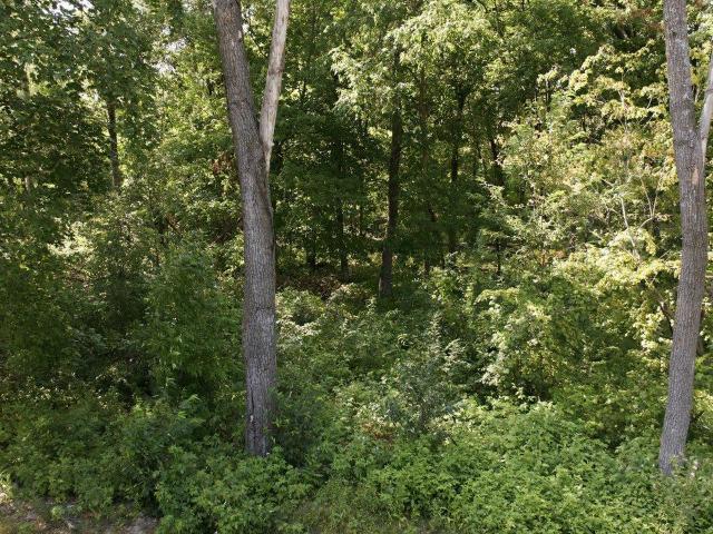 TBD Maplewood Drive