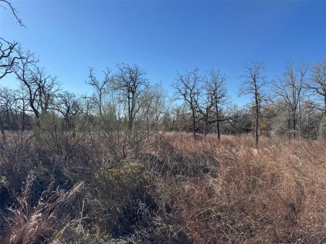 Tbd Marjess Dr, Cedar Creek, TX 78612 | MLS #9038