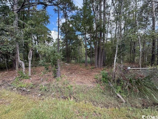 Tbd Martin St, Georgetown, SC 29440 | MLS #2524 | Compass