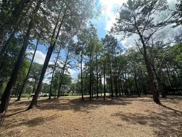 TBD Meadow Lake Road, Cleveland, TX 77328