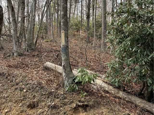TBD Meadowfork Road