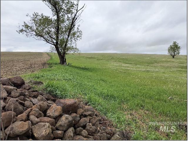 TBD Meade Road