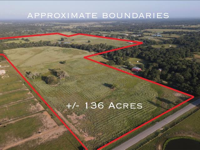 0 Mellman Rd, Hempstead, TX 77445 | MLS #76338
