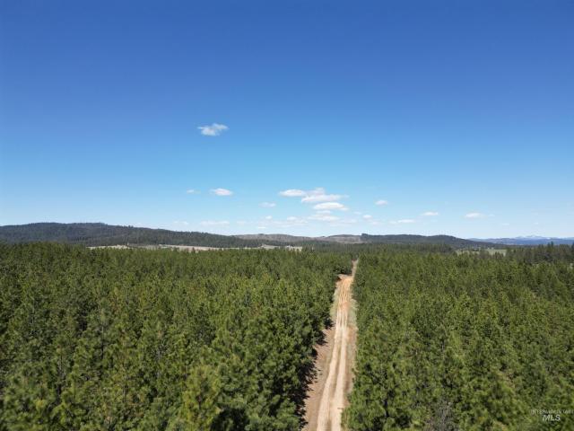 TBD Middle Road