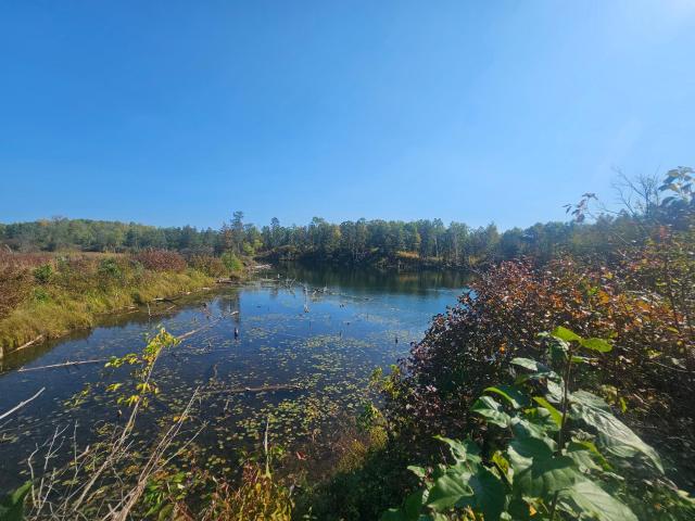 TBD Miller Lake Road