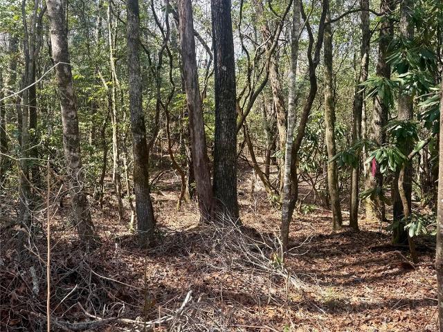 TBD Minerva Lane # Lots 79 # Lots 79,80,84