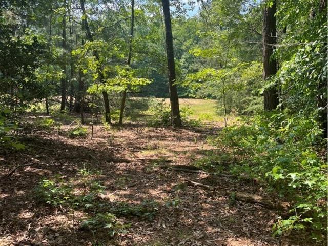 TBD Minitree Glen Lane