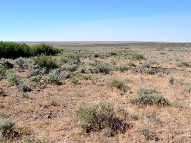 TBD Mud Flat Road