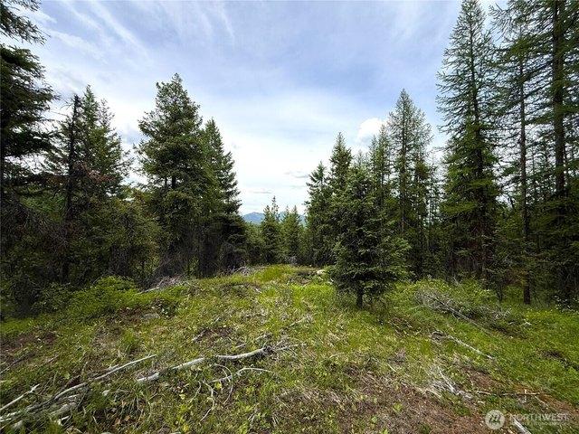 Tbd Mule Deer Rd, Republic, WA 99166