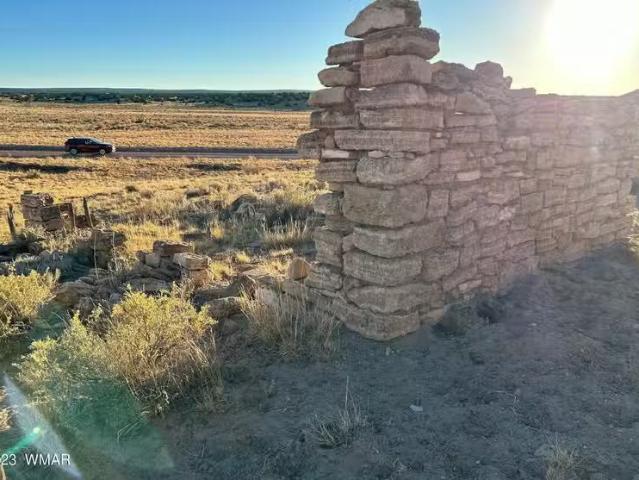 Tbd N6663 Woodland Valley Ranch, Saint Johns, AZ 85936 MLS.
