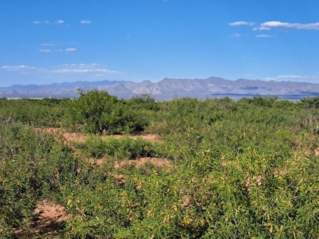 Tbd N Westward Trail, Unit 8, McNeal, AZ 85617 | MLS #7017