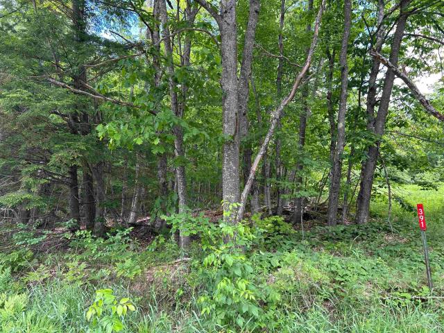 TBD N Carlshend Road