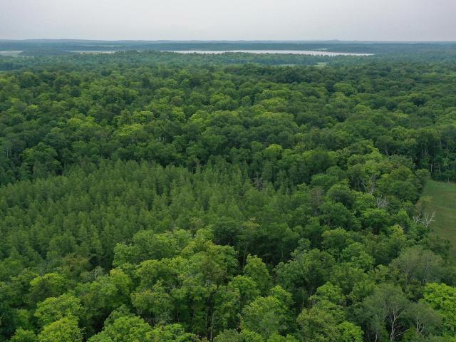 TBD N Cotton Lake Road