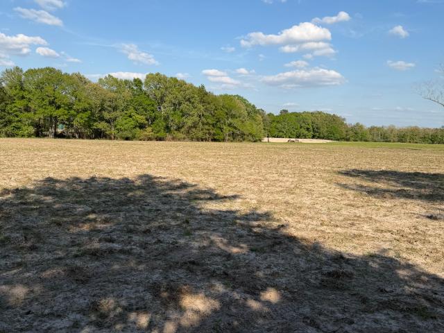 TBD N County Road 4050