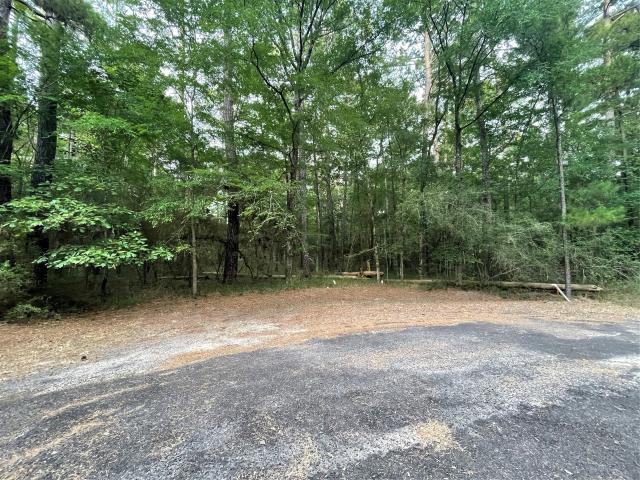 Tbd N Clear Springs Rd, Trinity, TX 75862 | MLS #15187
