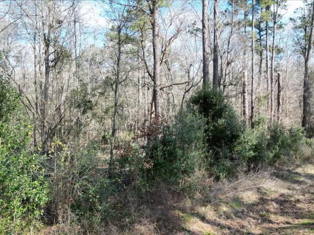 Tbd N Essex Dr, Conroe, TX 77302 | MLS #26530