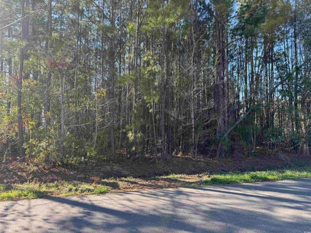 Tbd N Farr Ave, Andrews, SC 29510 | MLS #2505 | Compass