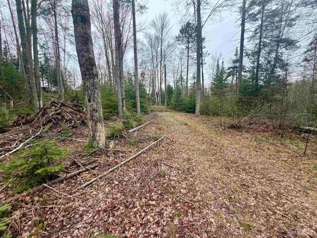 TBD N Horseshoe Lake Road