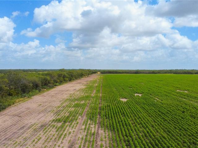 Tbd N Hwy 281, Alice, TX 78332 | MLS #462690 | Compass