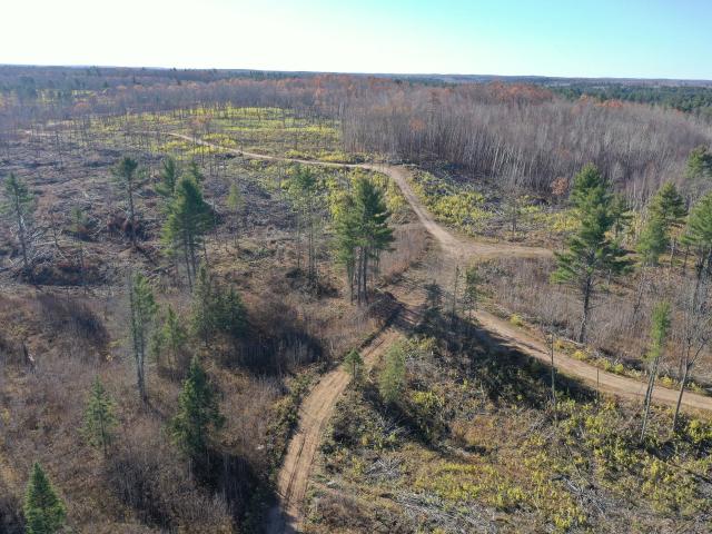 Tbd N Larsen Rd, Hayward, WI 54843 | MLS #6816