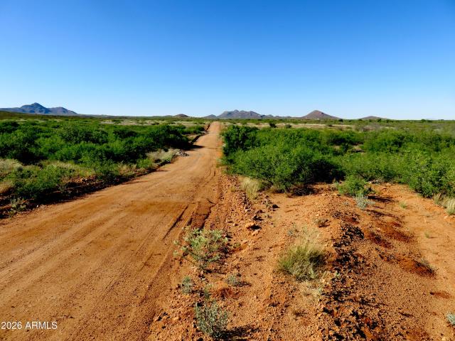 TBD N Last Trail # 55
