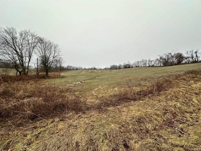 Tbd N Legion Rd, Solsberry, IN 47459 | MLS #202402