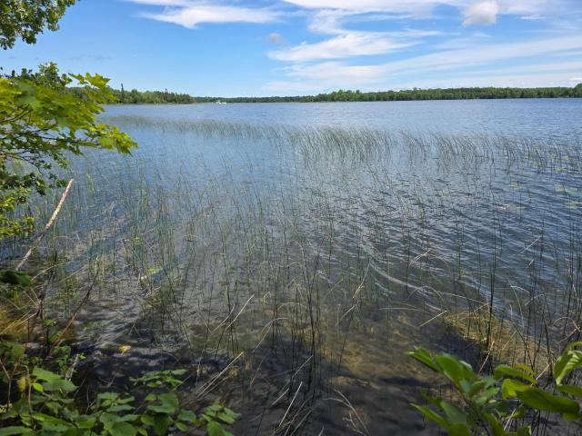 TBD N Moose Lake Road NE