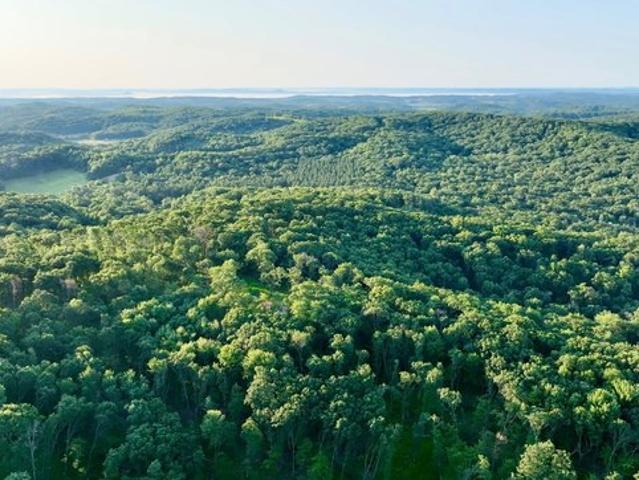 Tbd N Pine Creek Rd, Hixton, WI 54635