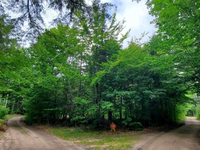 TBD N Summer Homes Road