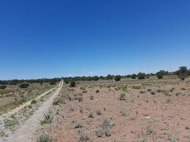 Tbd NM 612