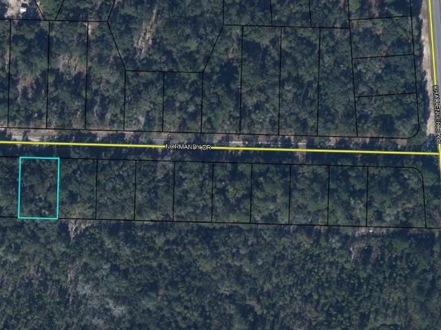 Tbd Normandy Dr, Chipley, FL 32428 | MLS #787666 | Compass