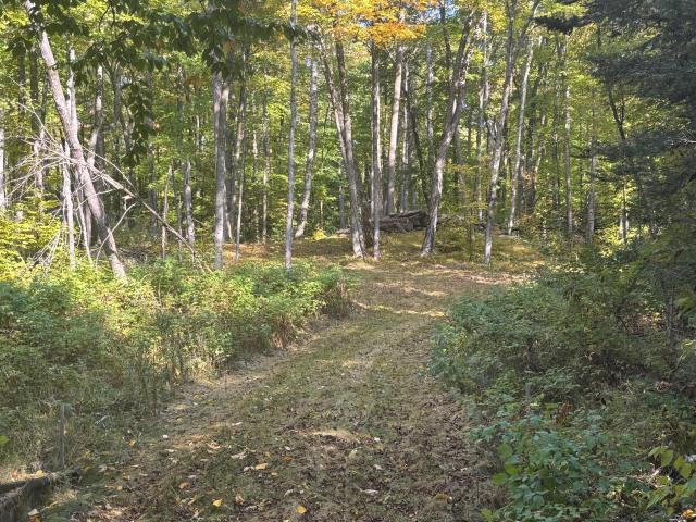 TBD North Sherrys Arm Road