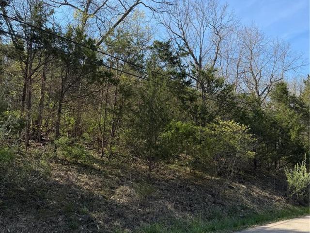 Tbd Napoleon Dr, Bonne Terre, MO 63628 | MLS #26019 | Compass