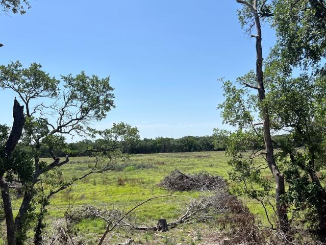 Tbd Narrows Rd, Unit 41, Blanco, TX 78606 | MLS #97738 | Compass