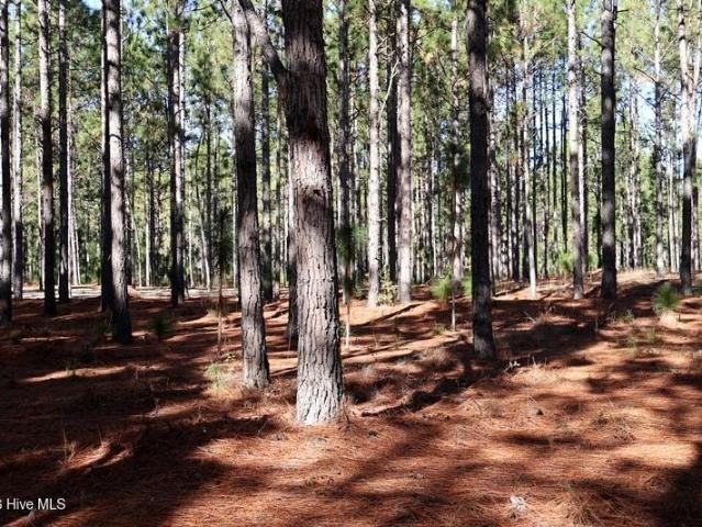 Tbd Nc Hwy 130 Road # 5