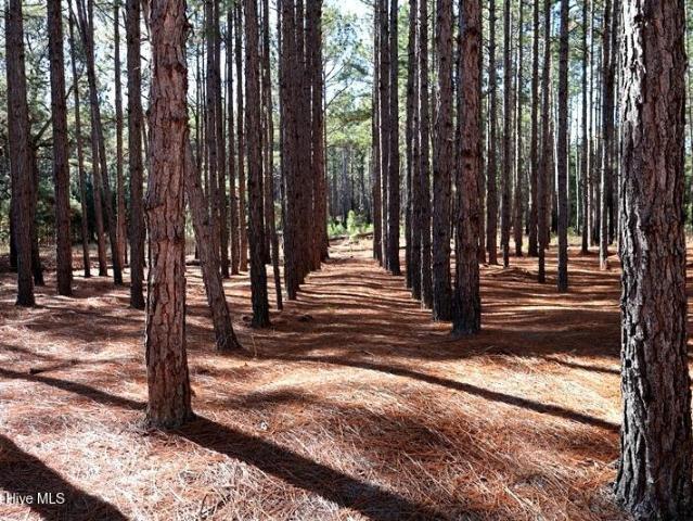 Tbd Nc Hwy 130 Road # 6