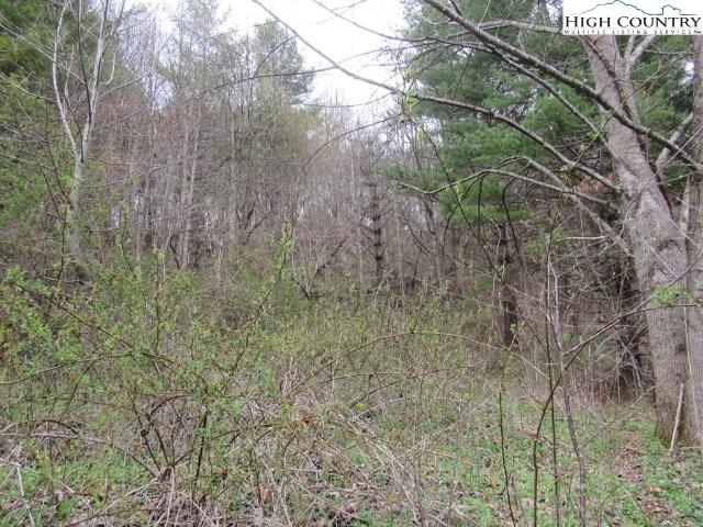Tbd nc hwy 88 w