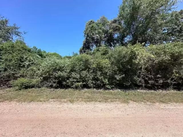 Tbd New Mexico Pkwy, Hilltop Lakes, TX 77871 MLS 28884241