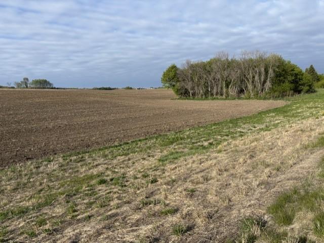 Tbd New Haven NW, Pine Island, MN 55963 | MLS #5712