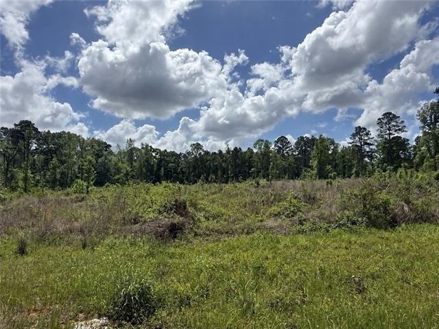 Tbd Newsome Rd Lot 0, Pineville, LA 71360