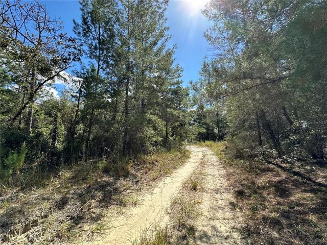 Tbd NE 138th Ave, Williston, FL 32696 | MLS #OM711549 | Compass
