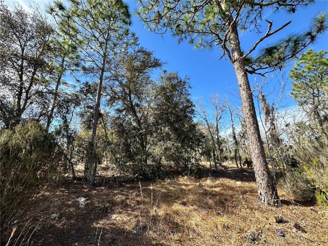 Tbd NE 16 Ln, Williston, FL 32696 | MLS #OM717199