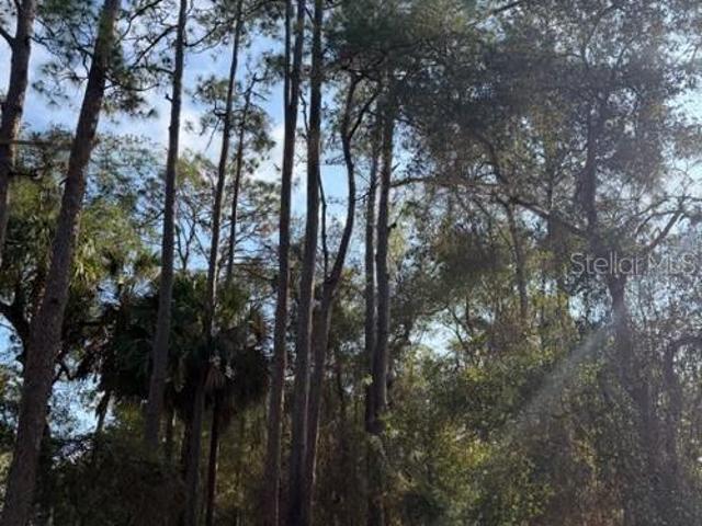 Tbd NE 236th St, Fort McCoy, FL 32134 | MLS #OM716278