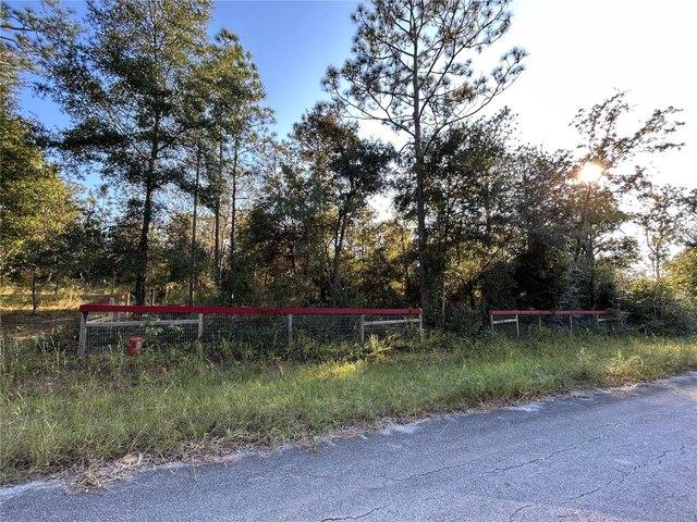 Tbd Ne 2nd Ln, Williston, FL 32696