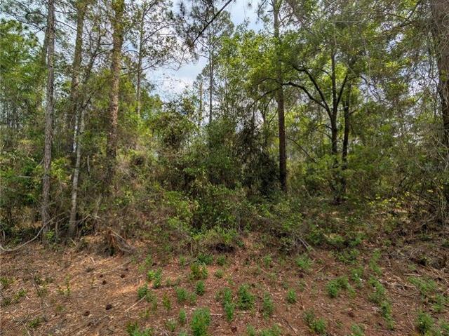 Tbd Ne 66th Ct, Citra, FL 32113
